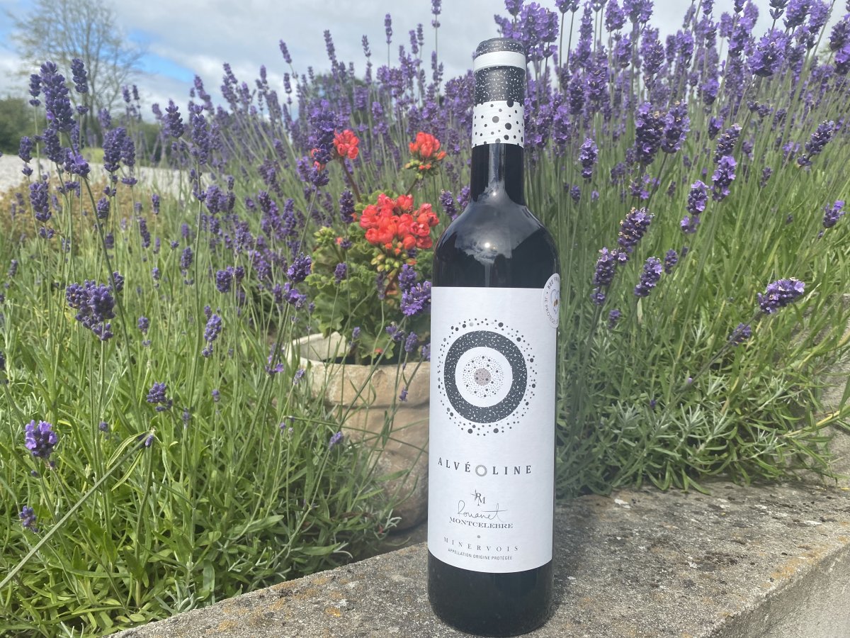 ALVÉOLINE 2020 - Minervois - Stampenborg