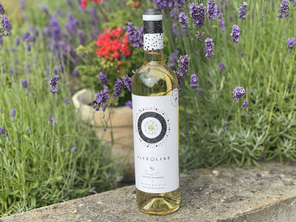 Alveoline Blanc, 2020 - Hvidvine - Stampenborg